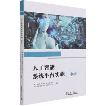 人工智能系统平台实施(中级)