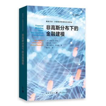 [正版图书]非高斯分布下的金融建模