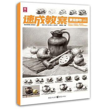 速成教案(3素描静物) 美术素描速写教材 美术素描静物临摹书入门基础绘画艺术美术写生速写教程书籍 正