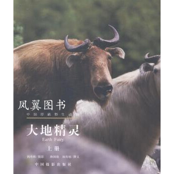 大地精灵 阎寿根著 中国摄影出版社