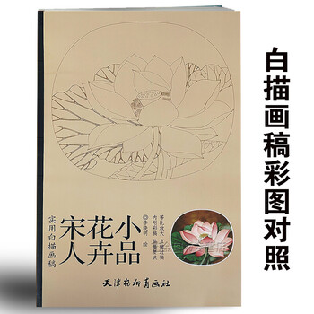宋人花卉小品 实用白描画稿原大版 李晓明绘 等比放大内附彩稿直接过稿 天津杨柳青画社