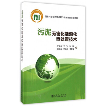 污泥无害化能源化热处置技术(精)