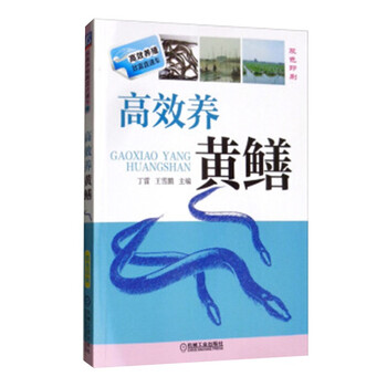 [正版图书]高效养黄鳝