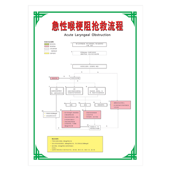 医院制度牌宣传画急救程序挂图过敏性休克抢救流程图示意图墙贴画覆膜防水贴纸WSB169 WSB169-22 急性喉梗阻抢救流程 80*60厘米 覆膜防水PP贴纸