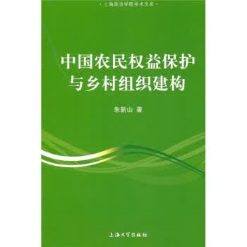 中国农民权益保护与乡村组织建构【正版图书】
