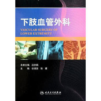 肢血管外科 9787117134903