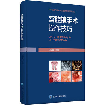 宫腔镜手术操作技巧 图书