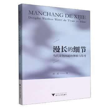 漫长的细节(当代文化问题的体验与思考)