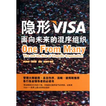 隐形VISA(面向未来的混序组织)