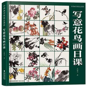 中国画传统技法教程 写意花鸟画日课 图书