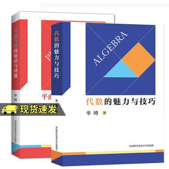 中科大初中数学代数的魅力与技巧+平面几何的知识与问题 单墫 初一初二初三初中数学解题规律方法与技巧7