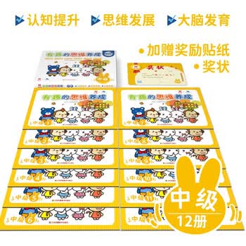 有趣的思维养成（盒装版共12册）赠奖励贴纸 中级版适合4-5岁 大脑智力开发儿童数学游戏益智早教书