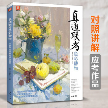 直通联考色彩静物 水粉画临摹书籍中国美院课件美术高考入门教材联考冲刺写生画照片范本零基础教程敲门砖