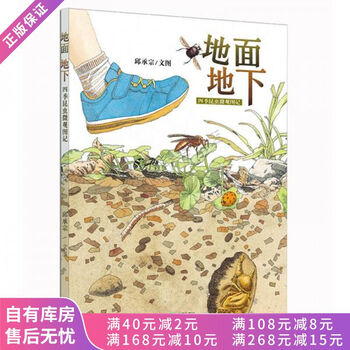 地面地下四季昆虫微观图记