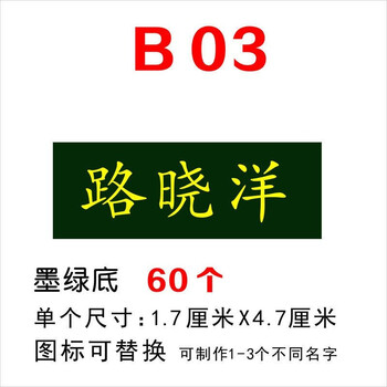 定制迷彩软姓名牌贴学生幼儿园名字贴可缝熨烫体能衣服名字条防丢布标签防水 B12星海洋