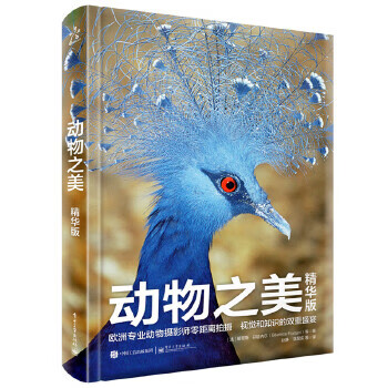 正版包邮动物之美精华版 杂志 期刊 科普
