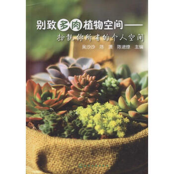 别致多肉植物空间