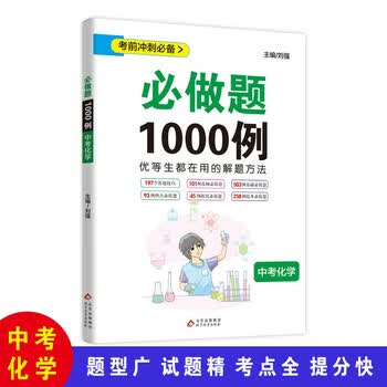 必做题1000例中考化学 重点考点一网打进 省时高效 初中冲刺提分专项训练