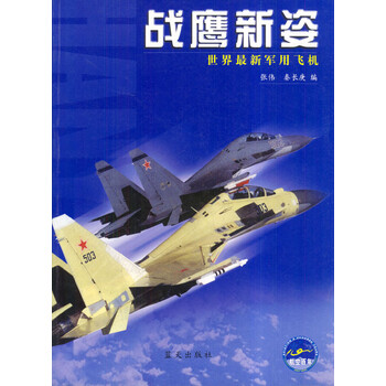 战鹰新姿:世界新军用飞机