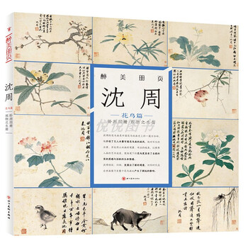 醉美册页 沈周 花鸟篇 卧游图册观物之生册 沈周画集美术素材绘画作品图录 四川美术出版社