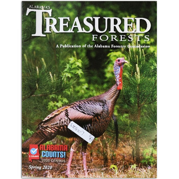 【单期可选】Alabama's Treasured Forests 阿拉巴马珍贵森林 2020年春夏 2020年春季刊