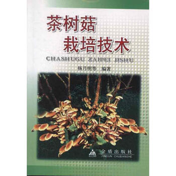 茶树菇栽培技术