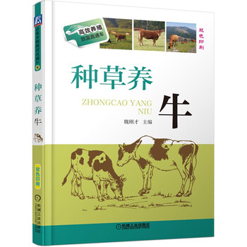 种草养牛