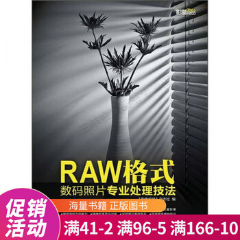 RAW格式数码照片专业处理技法