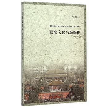 历史文化名城保护/新视野文化遗产保护论丛