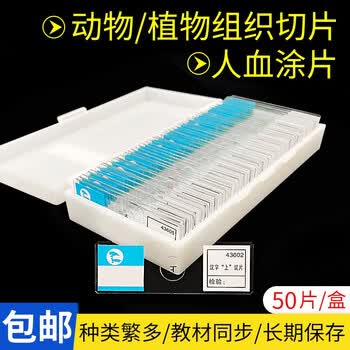 生物切片永久装片人血涂片人体四大组织字母e上字初高中神经装片 蚕豆叶下表皮装片50片