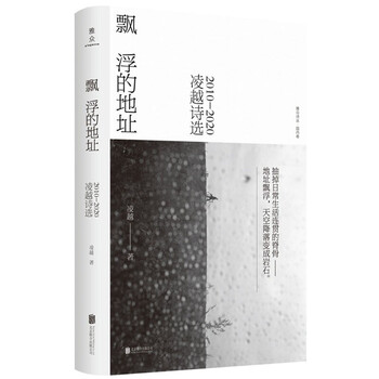 现货正版 雅众诗丛 卷 漂浮的地址 凌越诗选2010-2020 精装 北京联合出版公司