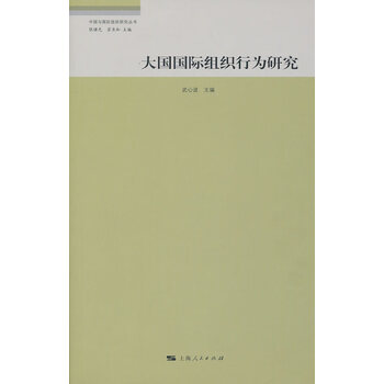 大国国际组织行为研究