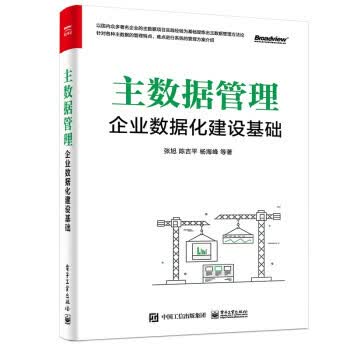 主数据管理：企业数据化建设基础【保证正版】