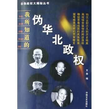 日伪政权大揭秘丛书 汉奸周佛海 文斐