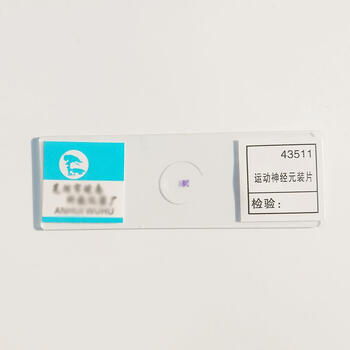 生物切片标本 显微镜玻片标本套装 初中学生儿童学生动物植物细胞 运动神经元装片