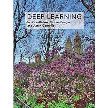 深度学习 英文原版 Deep Learning 机器学习计算机科学与人工智能领域奠基性的教材