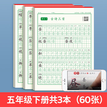 一年级一类字下学期语文同步字帖练字卡二三四五六小学生写字生字 五年级下册（3本）
