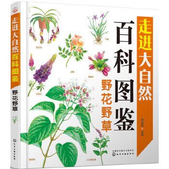 野花野 董枝明 化学工业出版社