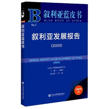 叙利亚发展报告(2020)/叙利亚蓝皮书
