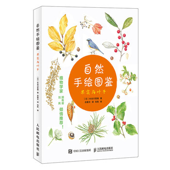 果实与叶子-自然手绘图鉴