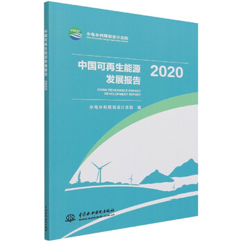 中国可再生能源发展报告(2020)