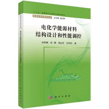 电化学能源材料结构设计和性能调控/孙世刚