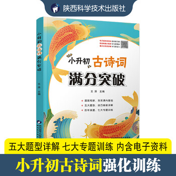小升初古诗词满分突破王泽主编陕西科学技术出版社中国古典诗歌小学升学参考资料