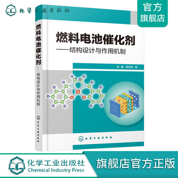 燃料电池催化剂——结构设计与作用机制