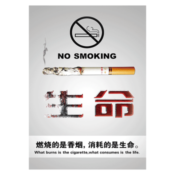 禁烟公益广告文化宣传画挂图标语海报禁止吸烟您已进入无烟场所控烟招贴画覆膜防水贴纸TYH TYH30 禁烟宣传画 80*60厘米 覆膜防水PP贴纸