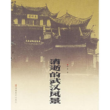 消逝的武汉风景【正版图书，放心下单】