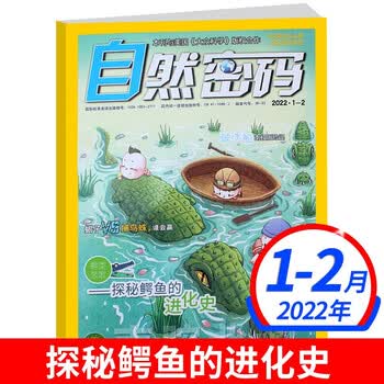 自然密码南腔北调杂志2022年6月 初识七海（下）【单本多项选择】 青少年课外阅读科海故事博览少年科普百科 2022年1-2月合刊 探秘鳄鱼的进化史