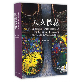 天女散花(李磊视觉艺术的媒介转化)