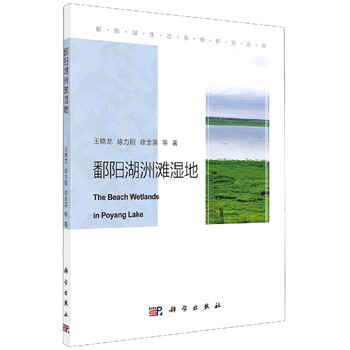鄱阳湖洲滩湿地/鄱阳湖生态系统研究丛书