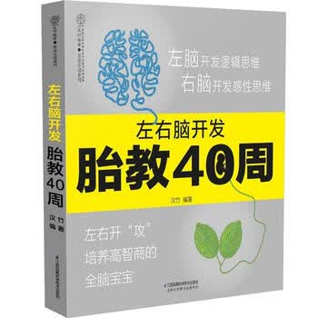 左右脑开发胎教40周汉竹江苏凤凰科学技术出版社9787571312305/育儿书籍